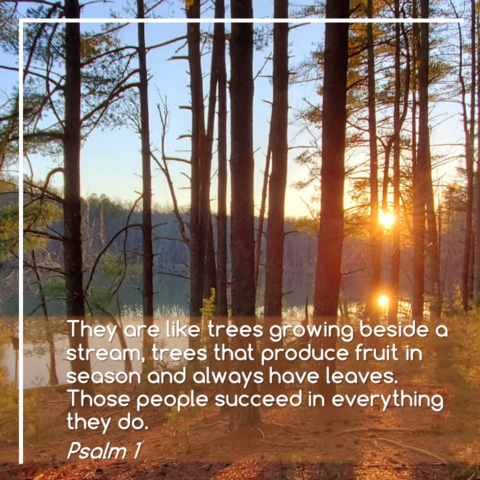 Psalm 2 | Praying the Psalms