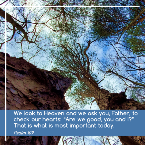 Psalm 109 | Praying the Psalms
